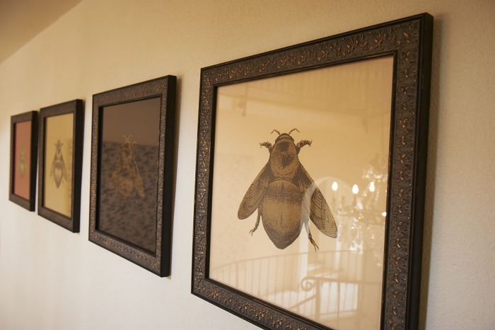 Stay 4 nights and pay for only 3 nights - Hobart Hotel | Luxury ...