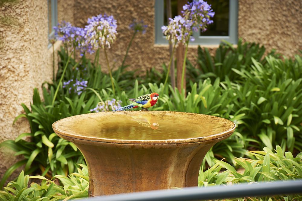 Rooms - Hobart Hotel | Luxury Accommodation | Villa Howden